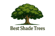 Best Shade Trees in Texas | Regional Guide - Best Shade Trees